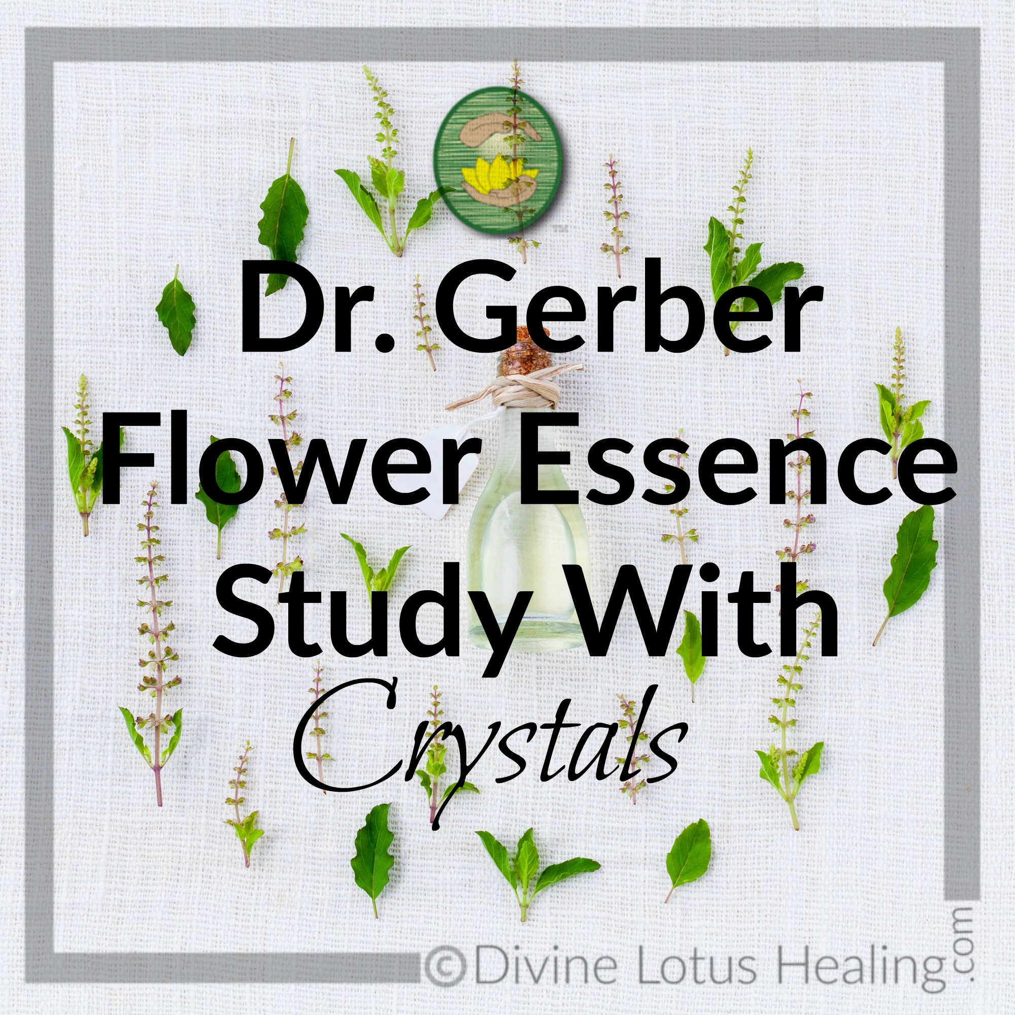 Dr. Gerber Flower Essence Study With Crystals - Divine Lotus Healing