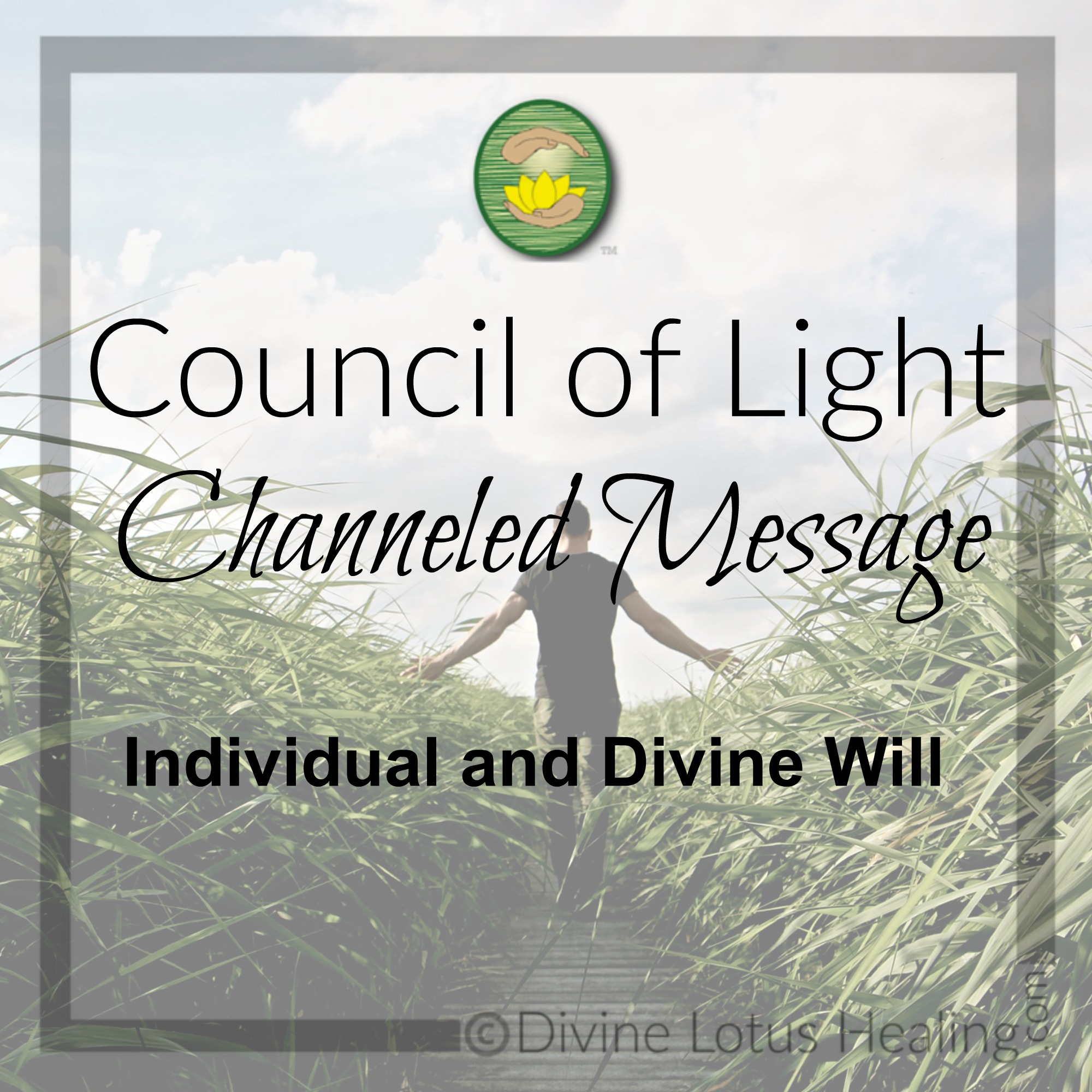 Council of Light Channeled Message Individual and Divine Will
