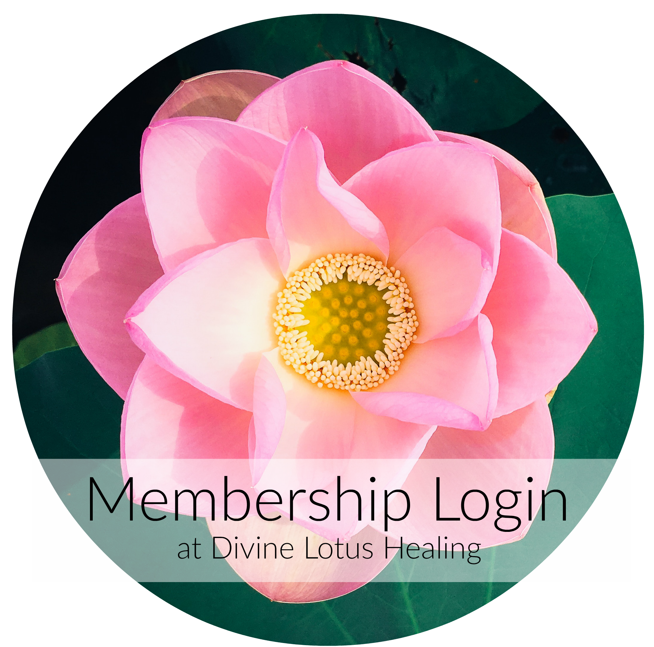 Divine Lotus Healing – Bringing Eastern Health to the West