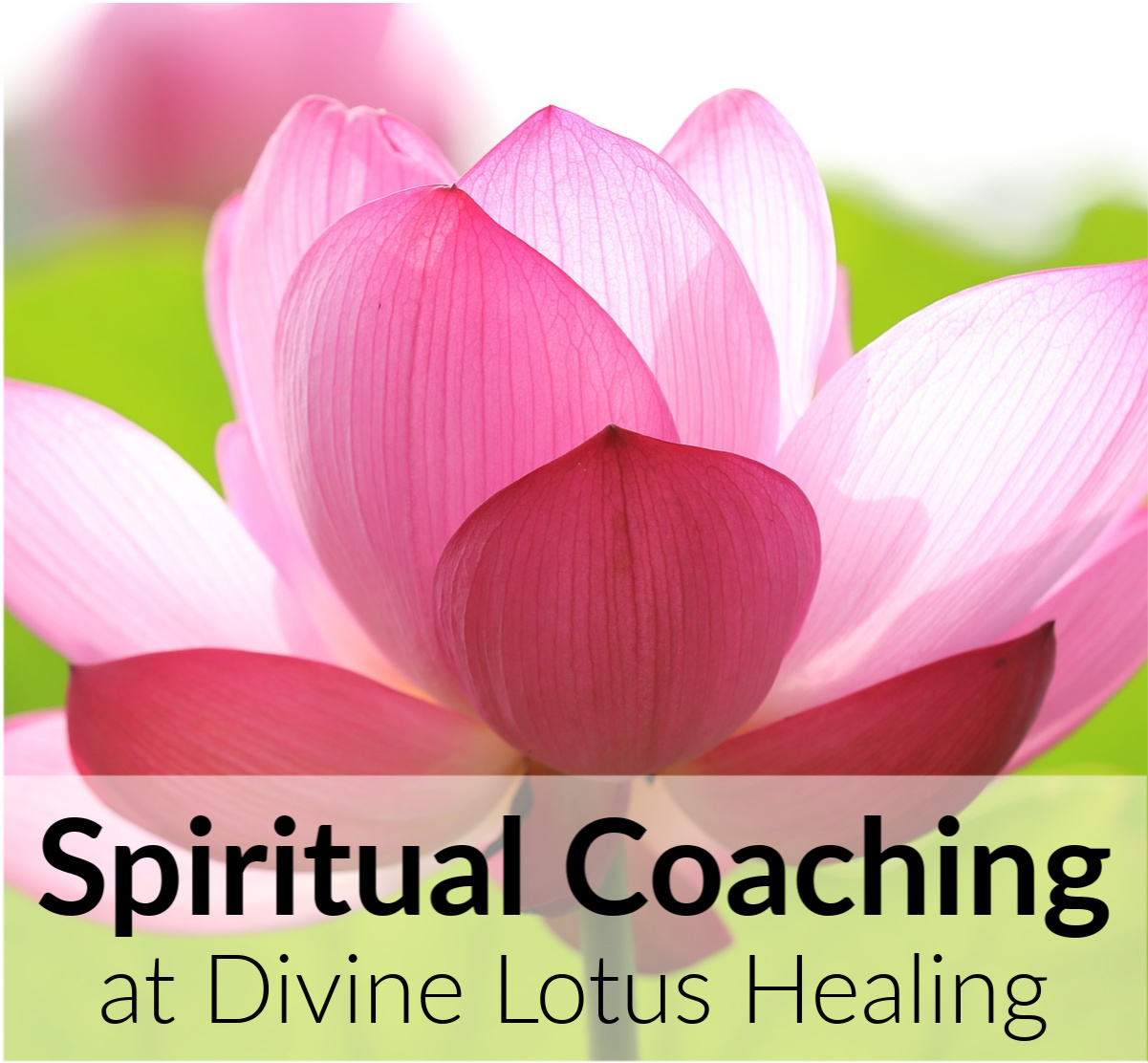 Divine Lotus Healing – Bringing Eastern Health to the West